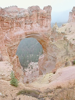 256x256图片_256x256素材_256x256模板免费下载-六图网